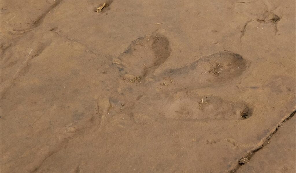 Quthing Dinosaur Footprint - Visit Lesotho