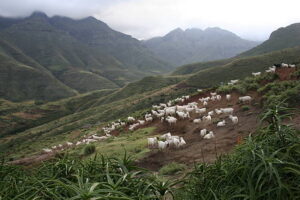 Visit Lesotho
